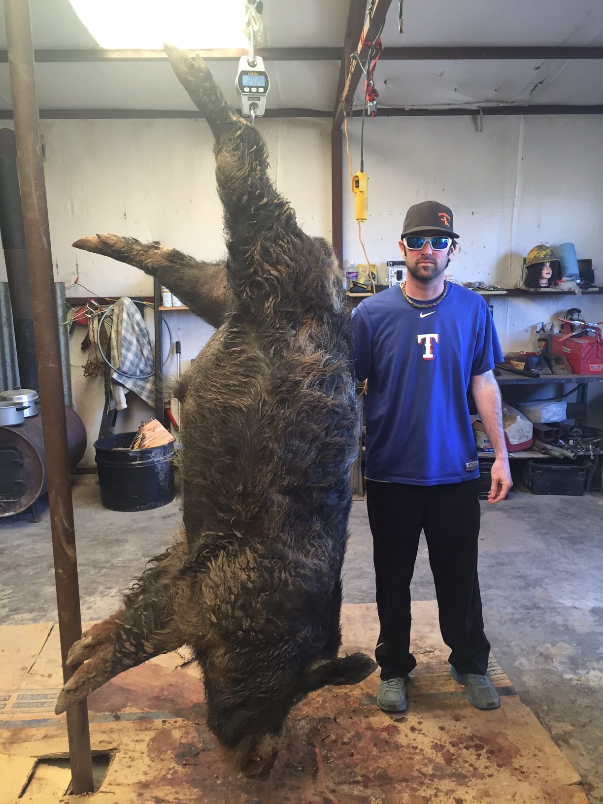 Wise County Hog Contest – New Ranks 3/8/16 - The Hunting Game