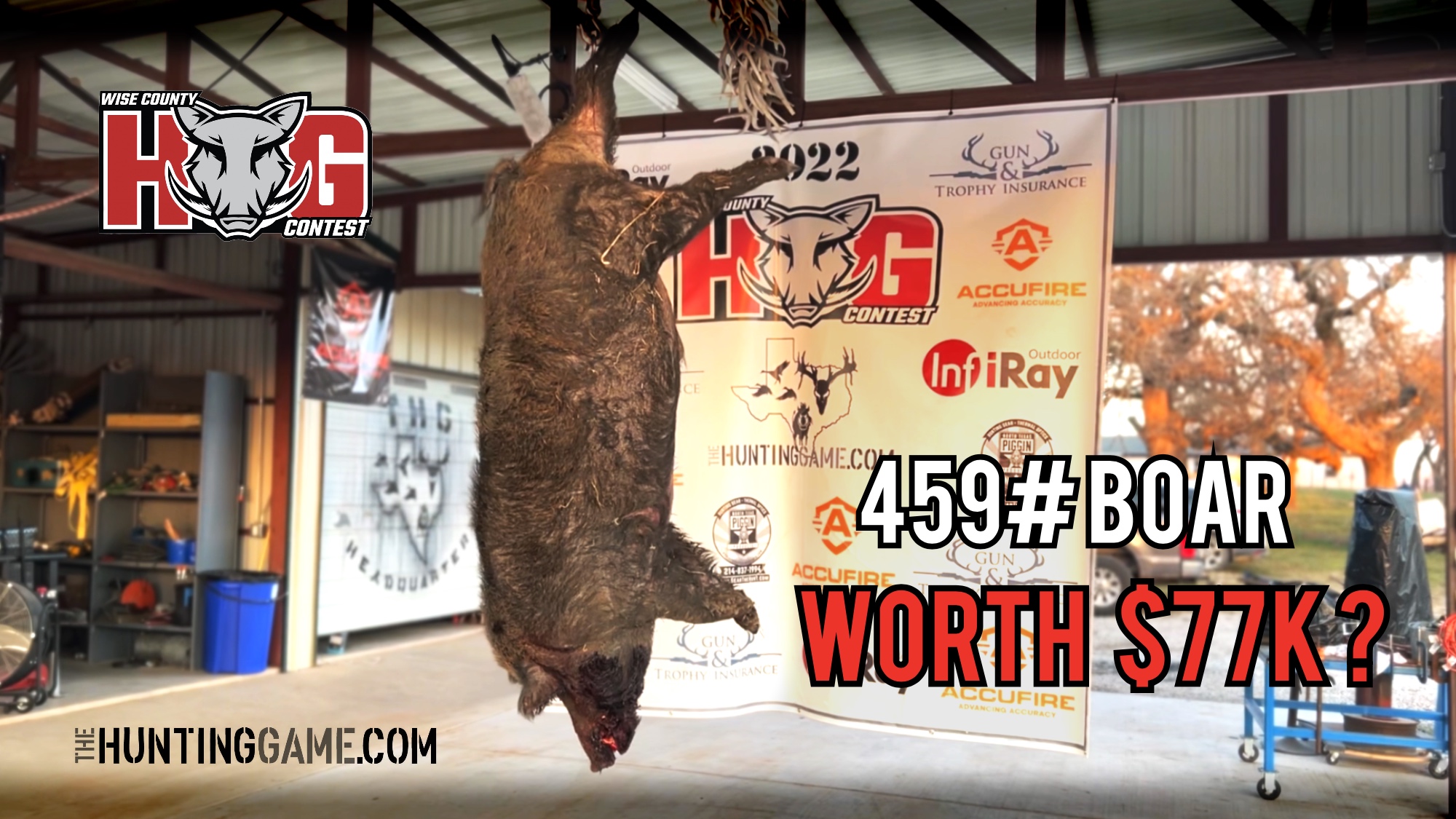 The 459# Hog - The Hunting Game